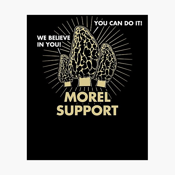 "Mushroom Joke Morel Support" Photographic Print by hadicazvysavaca ...