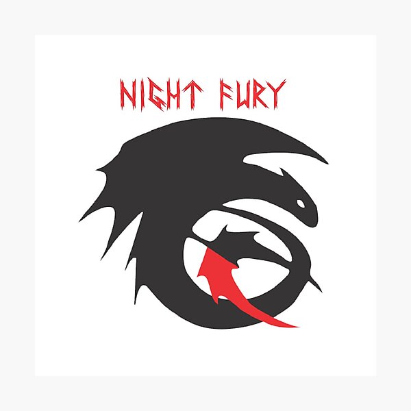 "Night Fury" Photographic Print by activespaceship | Redbubble