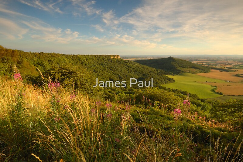 "Roulston Scar and Hood Hill, Sutton Bank, North Yorkshire Moors" by ...