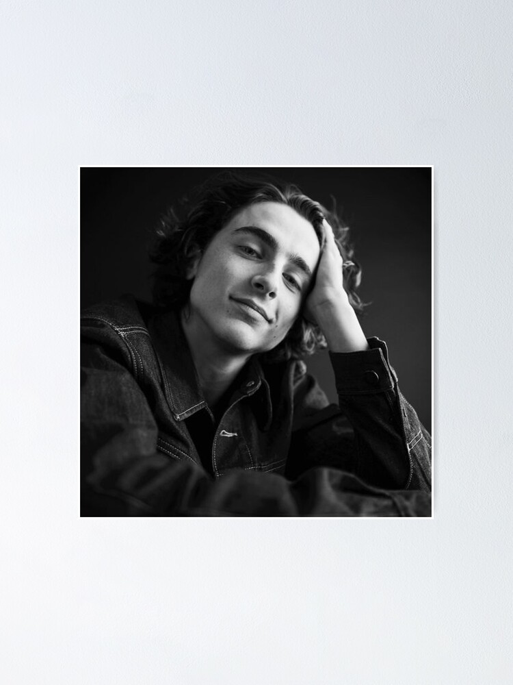 "Timothee Chalamet" Poster by artinfandoms | Redbubble
