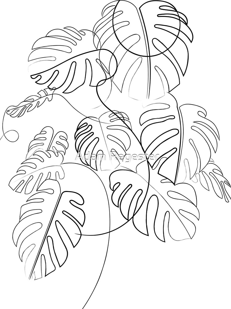 "Cheese Plant Leaves Line Drawing" A-Line Dress for Sale by ...