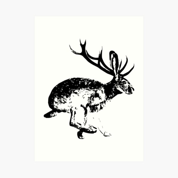 "Jackalope" Art Print for Sale by shyghst | Redbubble