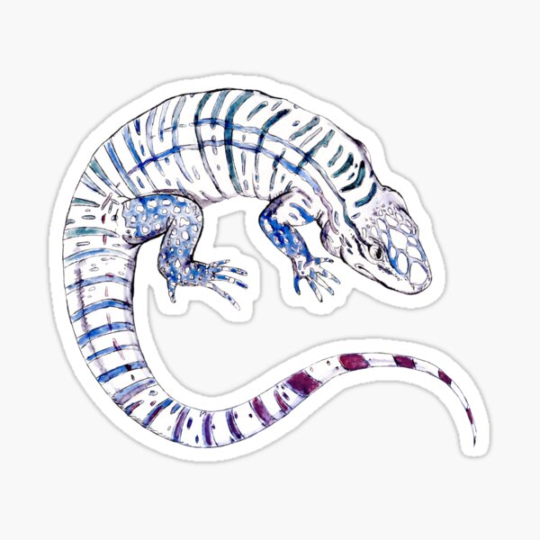Tegu Gifts & Merchandise | Redbubble