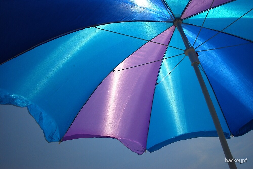 "Not So Bright" by barkeypf | Redbubble