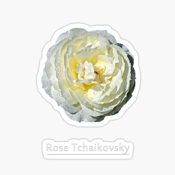 "Rose Tchaikovsky" Sticker for Sale by leobrix | Redbubble