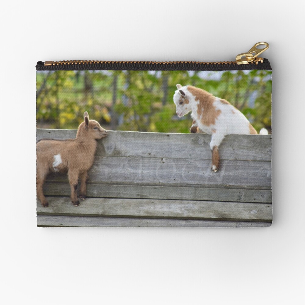 "Baby Pygmy Goat Kids Playing On A Goat House" Zipper Pouch for Sale by ...