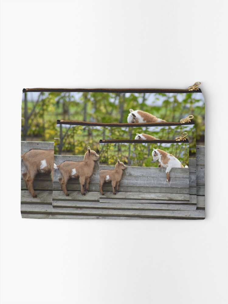 "Baby Pygmy Goat Kids Playing On A Goat House" Zipper Pouch for Sale by ...
