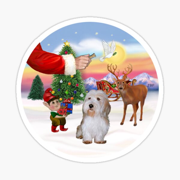 Pbgv Merch & Gifts for Sale | Redbubble
