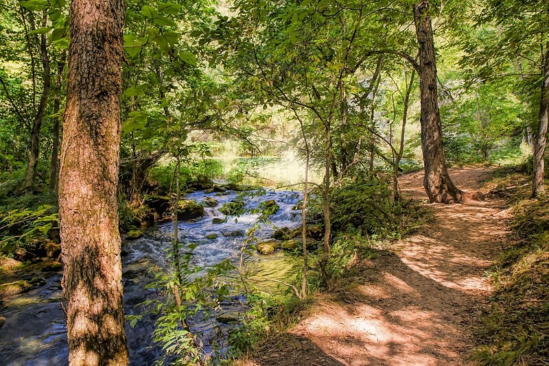 "Path Along Alley Springs" by John Bailey | Redbubble