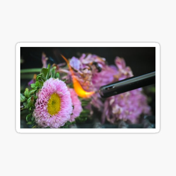 "Flowers and Flame" Sticker for Sale by kylad73 | Redbubble