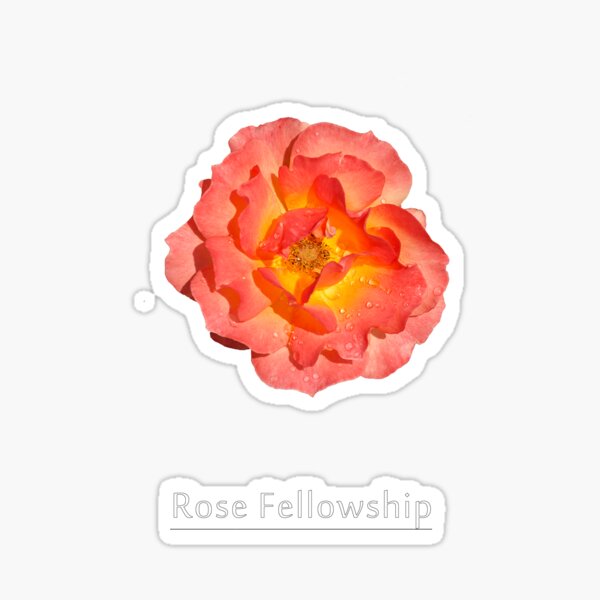 "Rose Fellowship" Sticker for Sale by leobrix | Redbubble