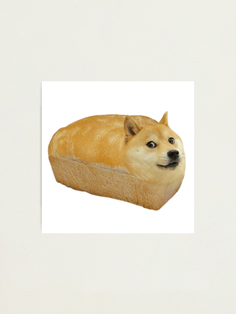 Lámina fotográfica «Meme de pan de pan divertido Meme» de M3M3-M3RCH ...