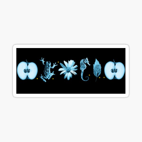 "Fringe" Sticker for Sale by Thirrin | Redbubble