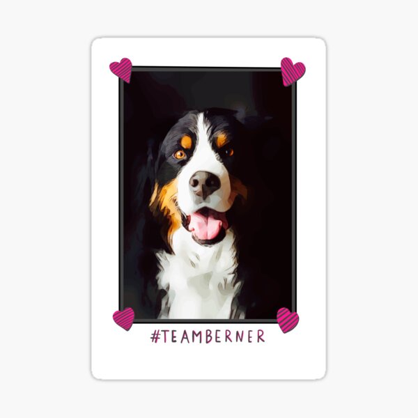 "Team Berner" Sticker for Sale by TheJill | Redbubble