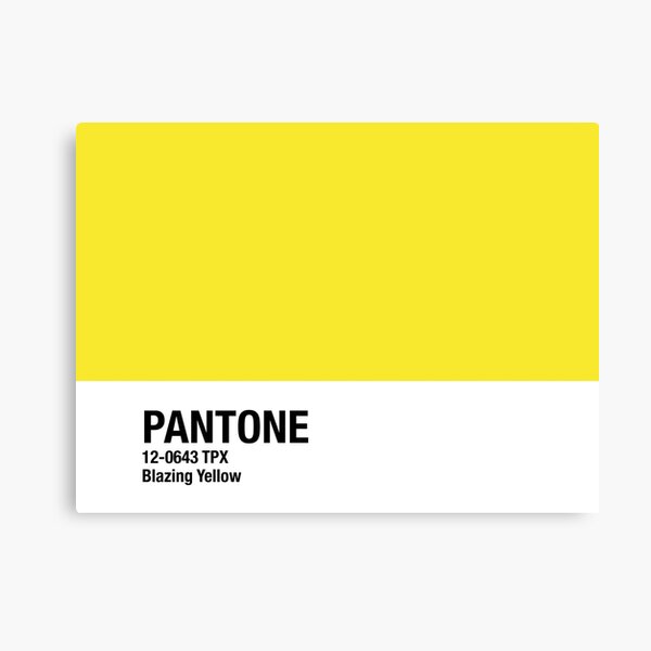 "PANTONE Blazing Yellow" Canvas Print for Sale by TheKimStuff | Redbubble