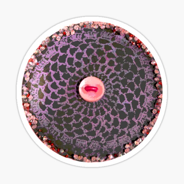 "Lacey Mandala " Sticker for Sale by EmilySutin | Redbubble