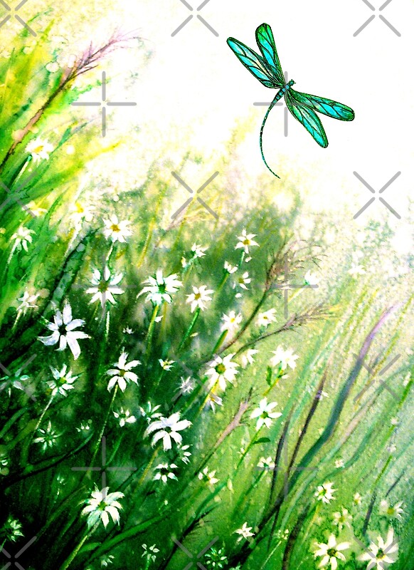 "Daisies and Dragonfly" by Linda Callaghan | Redbubble