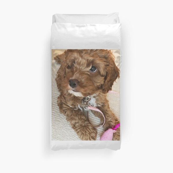 Cockapoo Dogs Duvet Covers | Redbubble