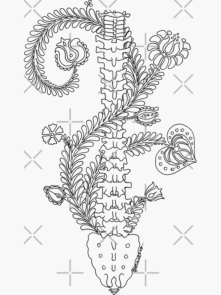 "Spine, vertebra - back ridge anatomy" Sticker for Sale by andrea-joos ...
