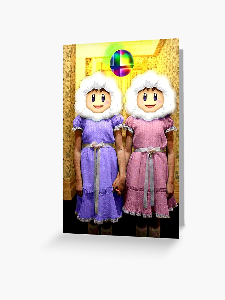 Ice Climbers Smash Cosplay