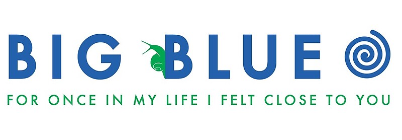 "Vampire Weekend - Big Blue" by Zachary Longobardi | Redbubble