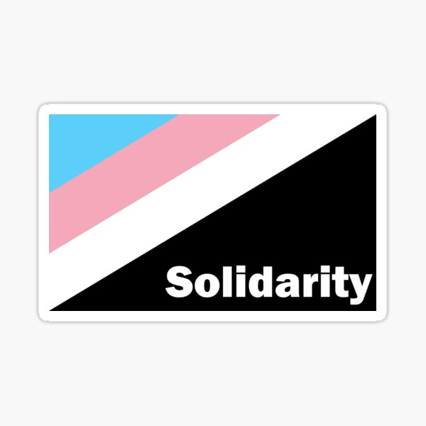 ""Solidarity' - Transgender Anarchy Flag" Sticker by dru1138 | Redbubble