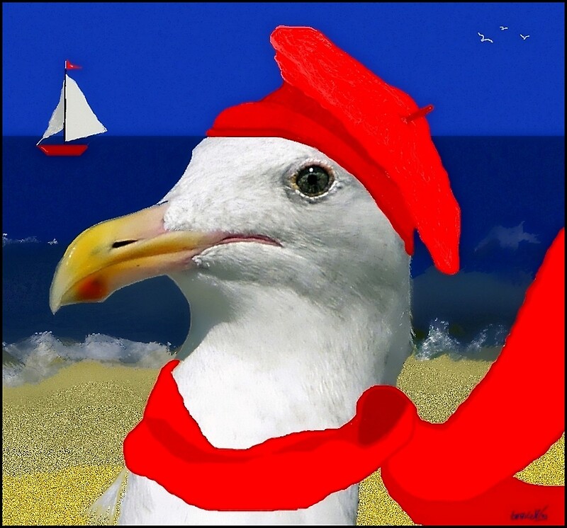 "Portrait of a French Seagull" by paintingsheep | Redbubble