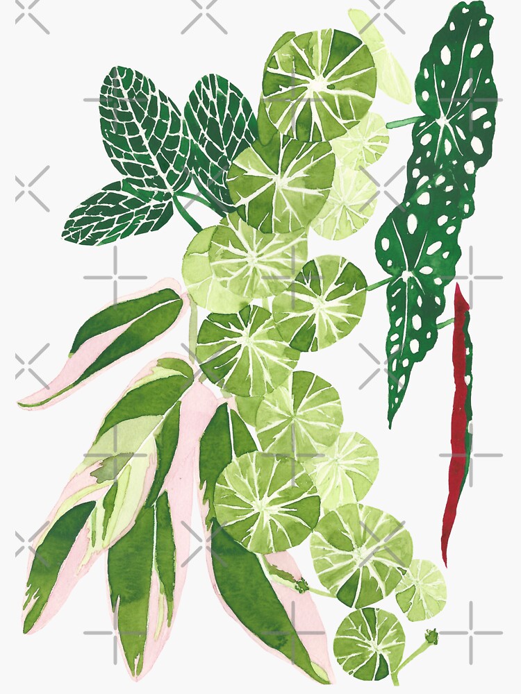 "Green Thumb" Sticker for Sale by jenbucheli | Redbubble