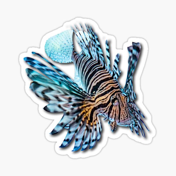 "Lionfish" Sticker for Sale by WWestmoreland | Redbubble