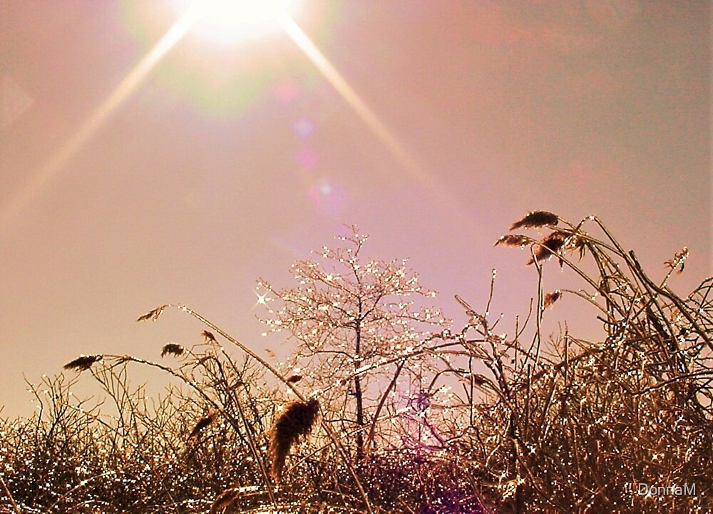 "Soft Sparkle" by DonnaM | Redbubble