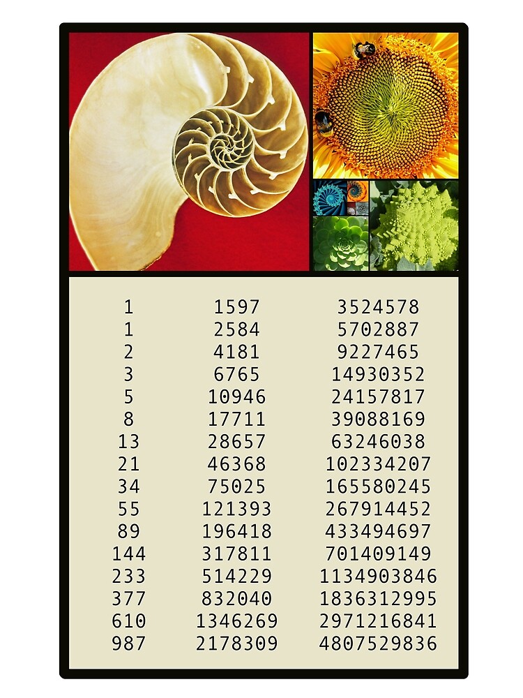 "The Fibbonacci sequence and the golden ratio" Poster by LoveJoyPeace ...