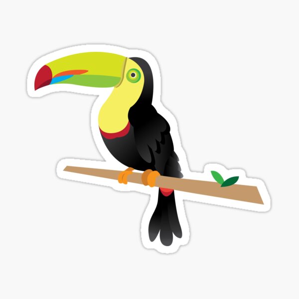 "Toucan" Sticker for Sale by EmilyCope | Redbubble