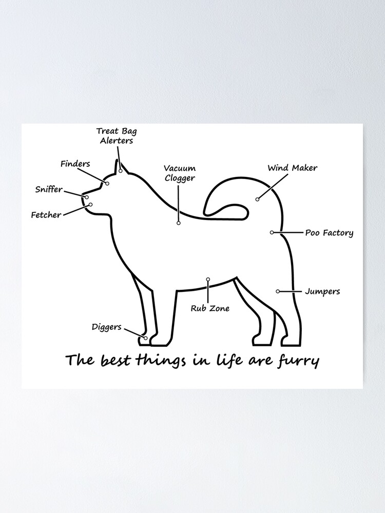 "Furry anatomy" Poster for Sale by manikx | Redbubble