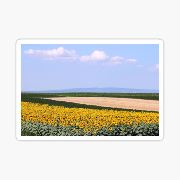 "sunflower soybean and corn fields landscape agriculture" Sticker for ...