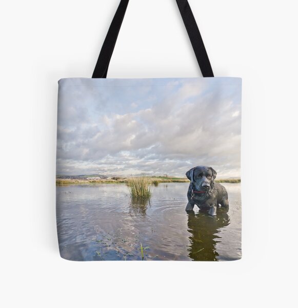 "Black labrador, dramatic sky, reflections in water" Tote Bag for Sale ...