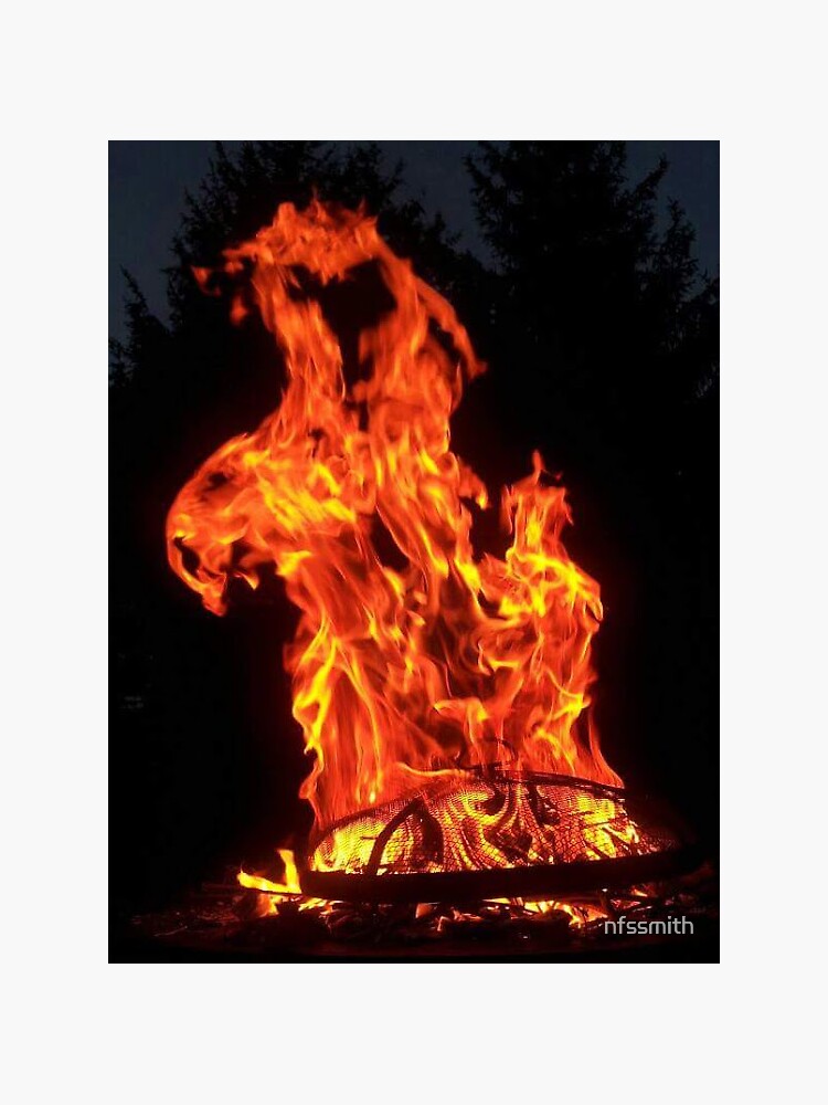 "Screaming Firehawk rising from the campfire" Sticker by nfssmith ...