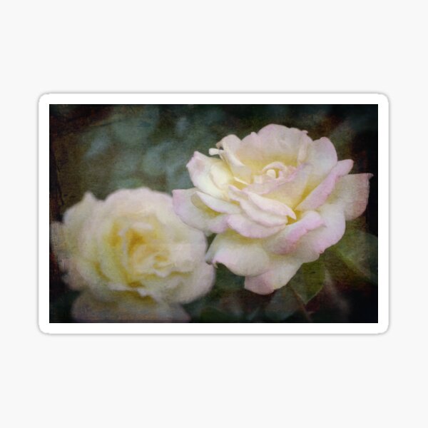 "Rose 342" Sticker by secretgardener | Redbubble