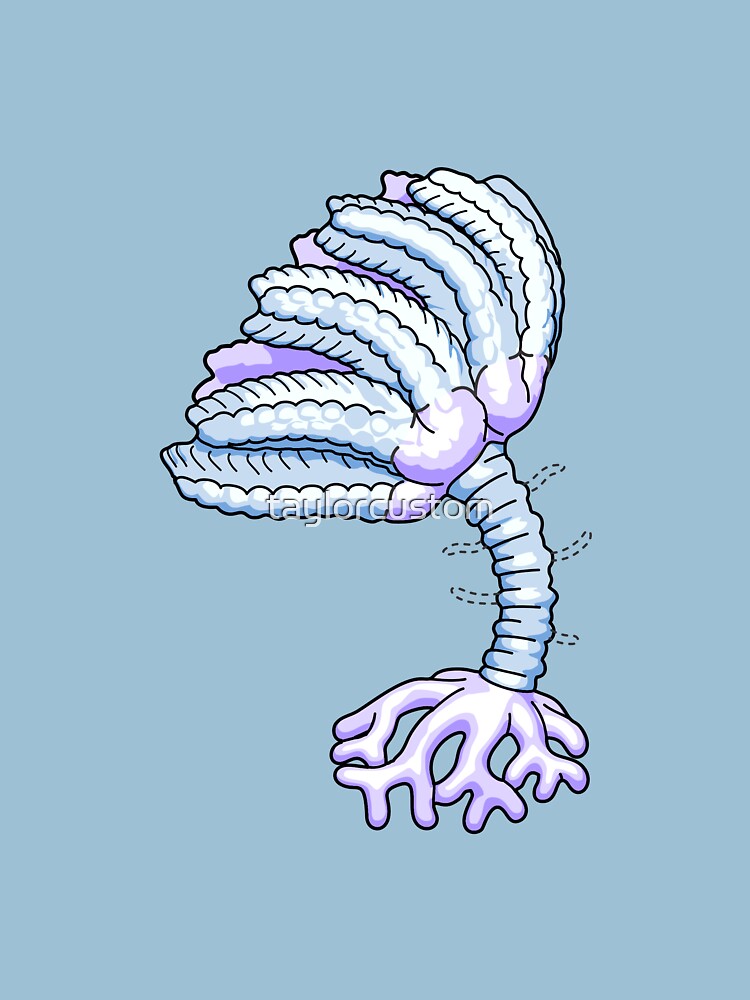 "Fossil Crinoid Illustration" T-shirt by taylorcustom | Redbubble