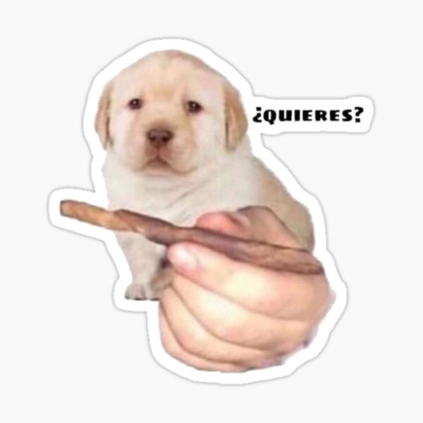 Doge Gifts & Merchandise | Redbubble