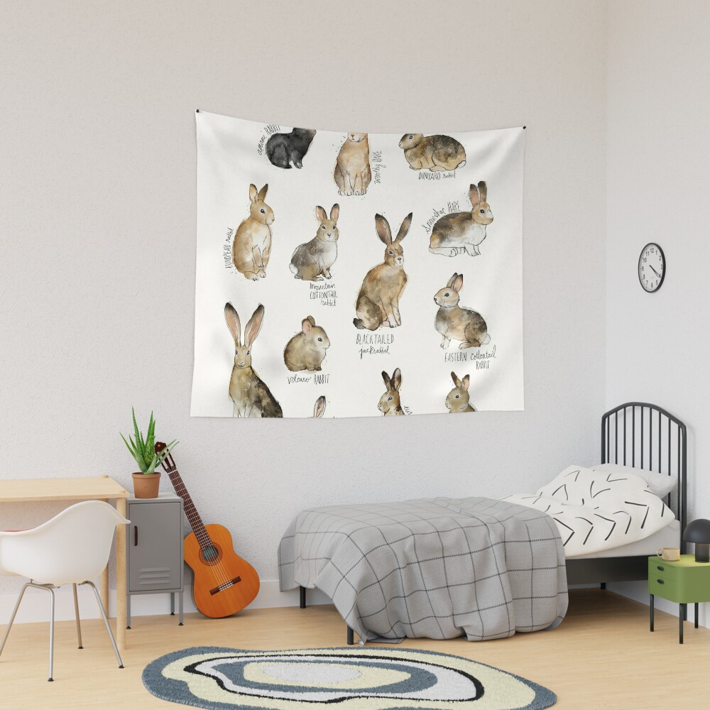 "Rabbits & Hares" Photographic Print for Sale by AmyHamilton | Redbubble