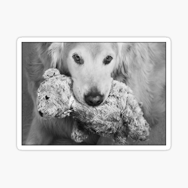 "Teddy with teddy" Sticker for Sale by LaurieMinor | Redbubble