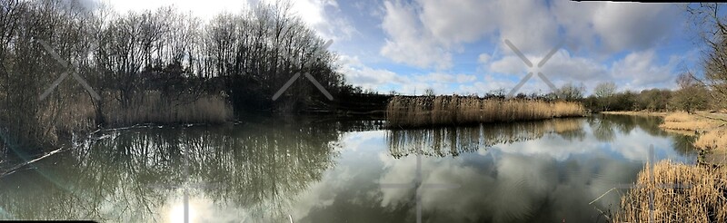 "Monk Lakes" by Peter Green | Redbubble