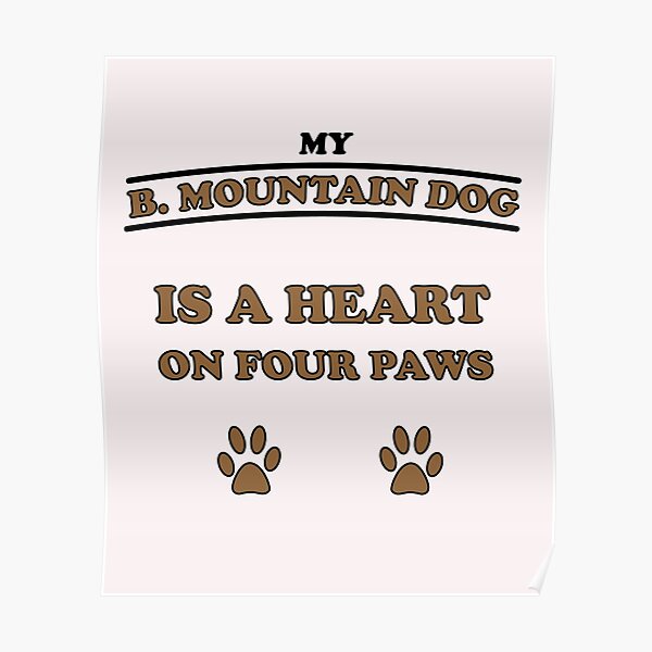 Póster «Perro de montaña de Berna refranes perro patas foto corazón» de ...