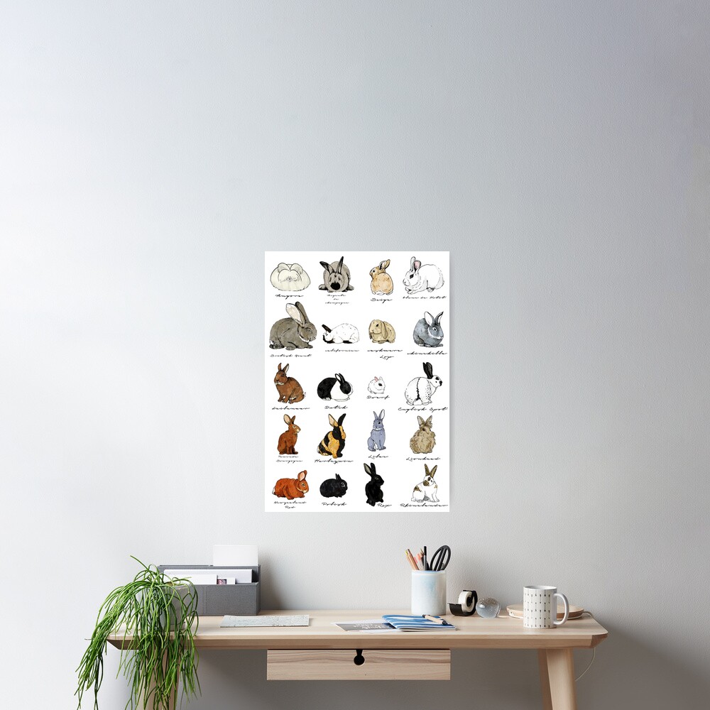 "Rabbits" Poster for Sale by katherineblower | Redbubble