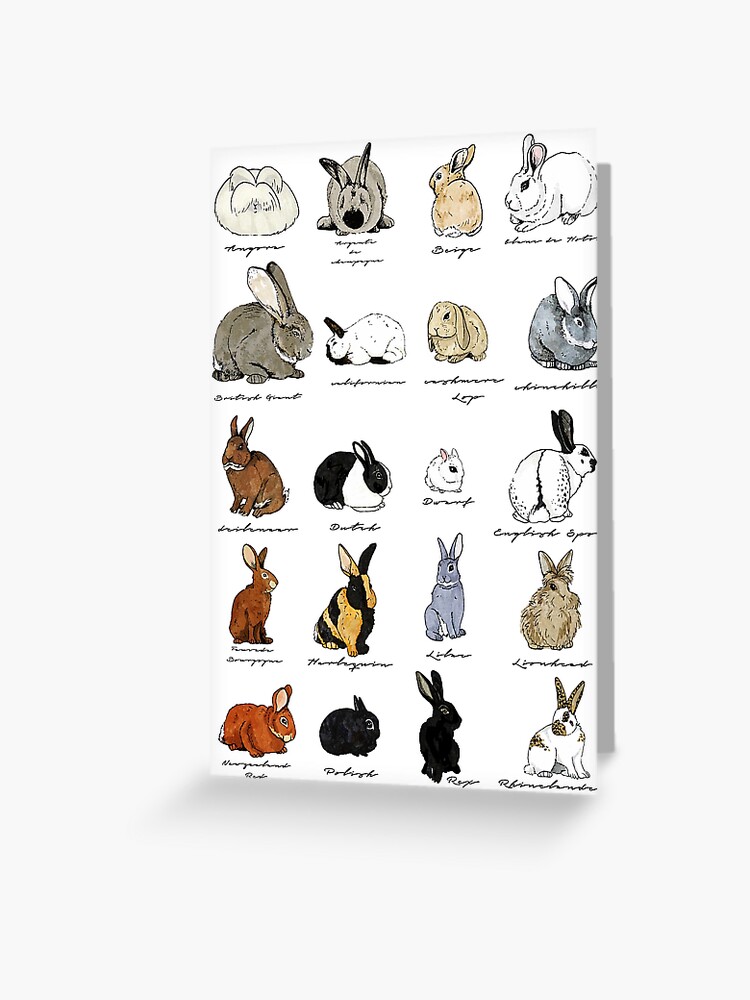 "Rabbits" Greeting Card for Sale by katherineblower | Redbubble