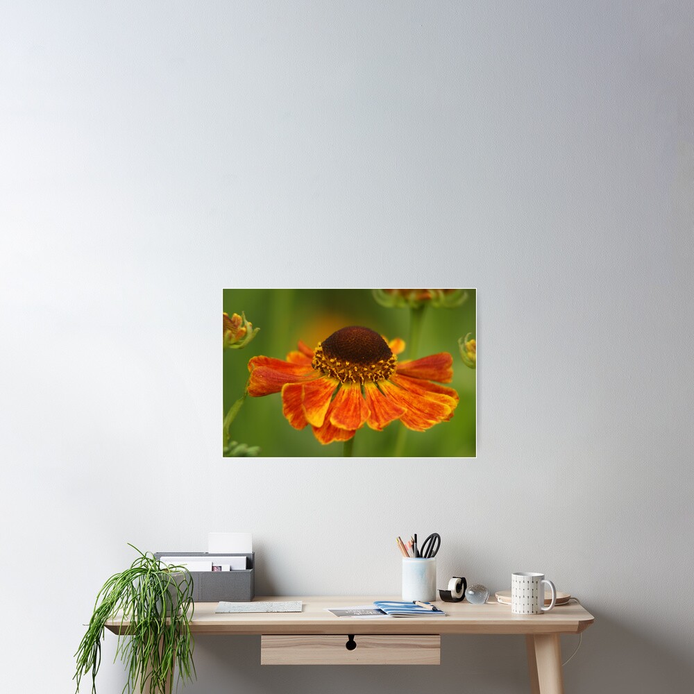 Her Name Was Lola She Was A Showgirl Poster By Poupoune Redbubble