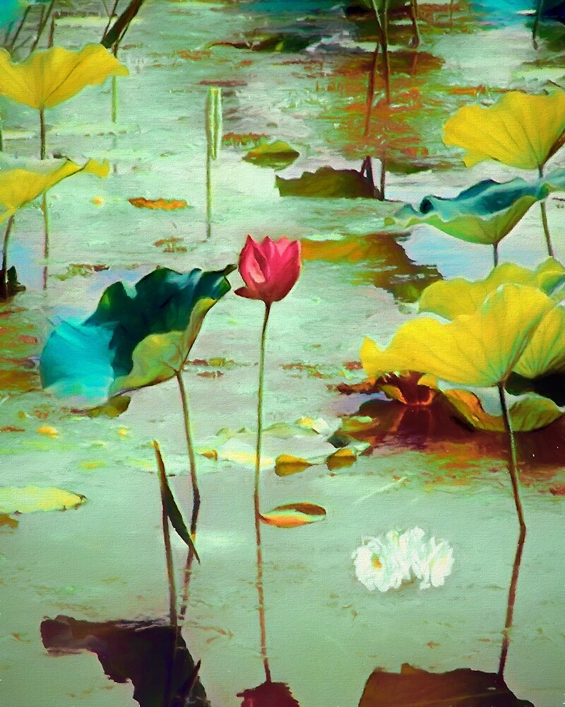 "Lily Pads" by Doug Canning | Redbubble