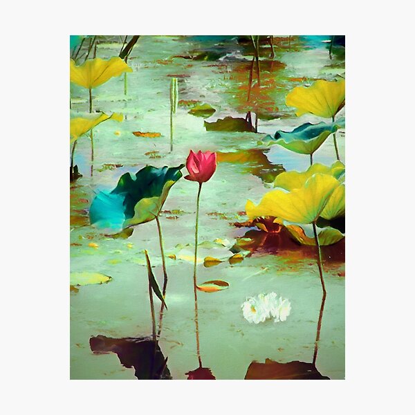 "Lily Pads" by Doug Canning | Redbubble