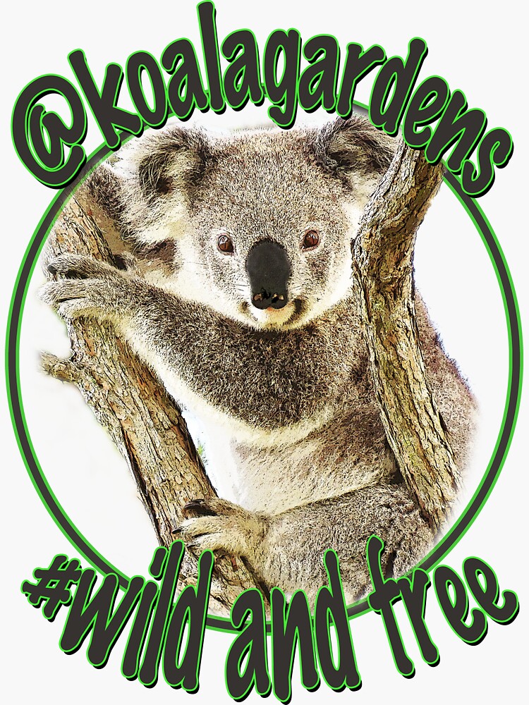 "Maxine wild and free koala gardens" Sticker by koalagardens | Redbubble