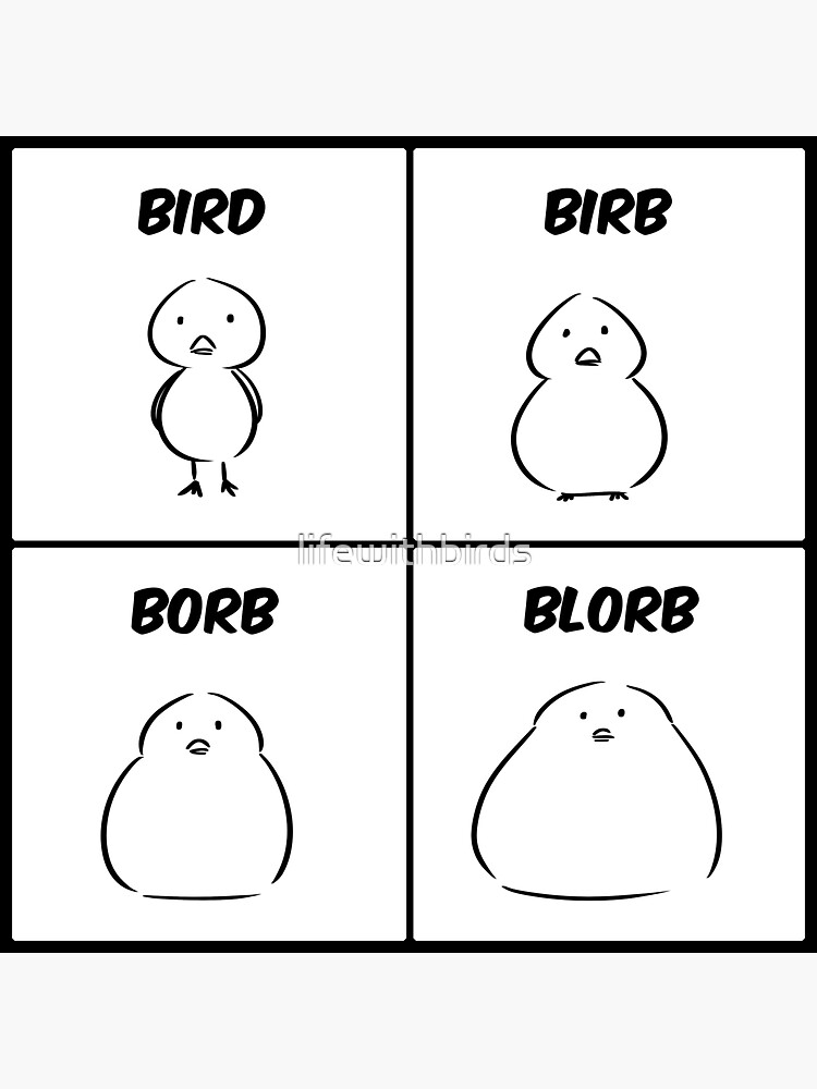"Bird Birb Borb Blorb" Sticker for Sale by lifewithbirds | Redbubble
